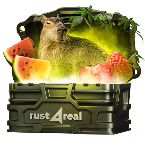 Открыть кейс Rust Капибара за 100 ₽ | Rust4Real
